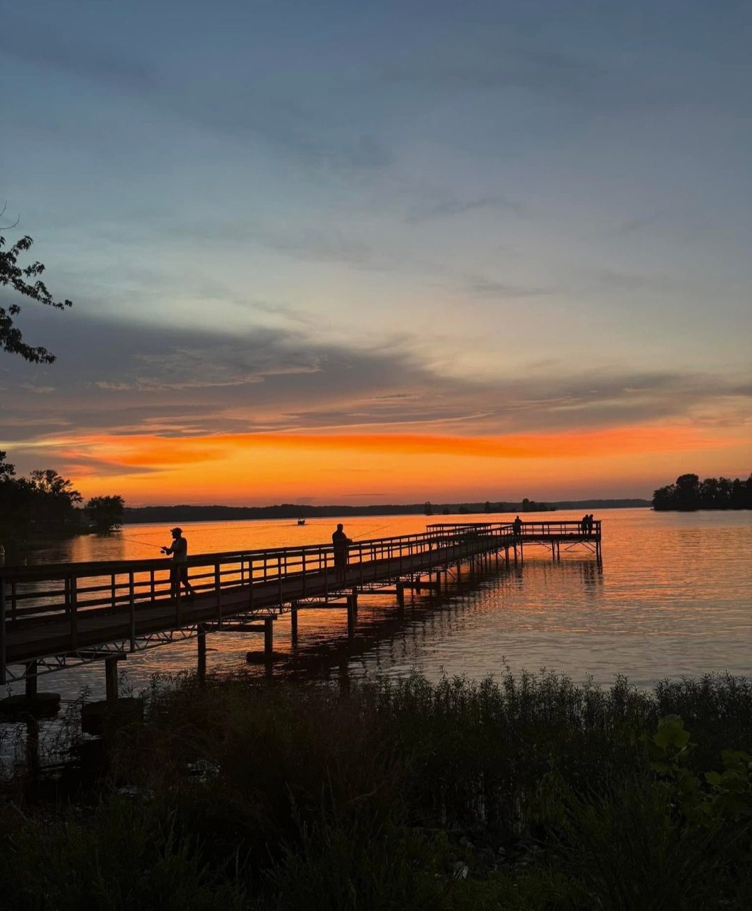 Piney Campground - Land Between the Lakes National Recreation Area