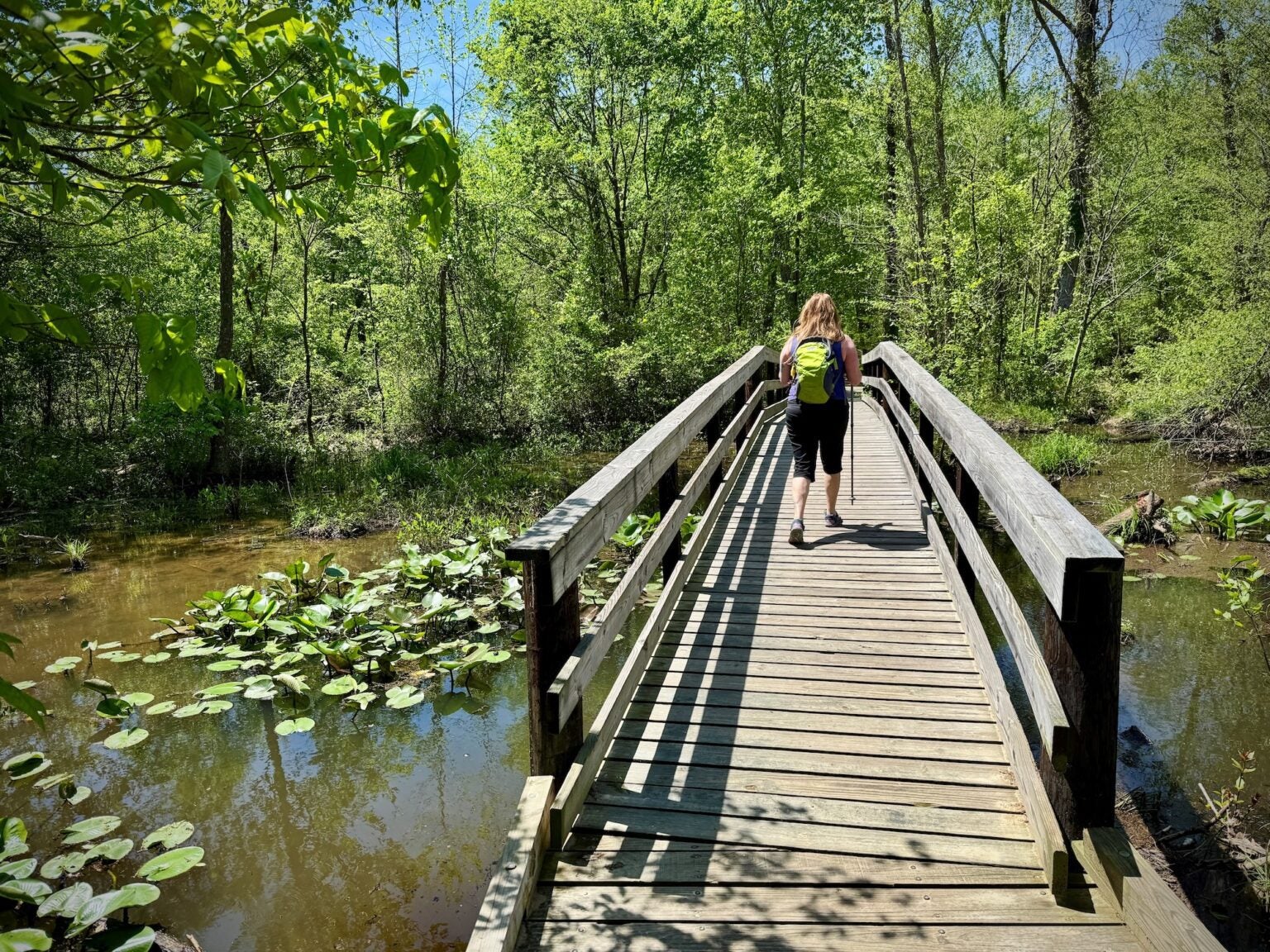 Hiking - Land Between the Lakes National Recreation Area