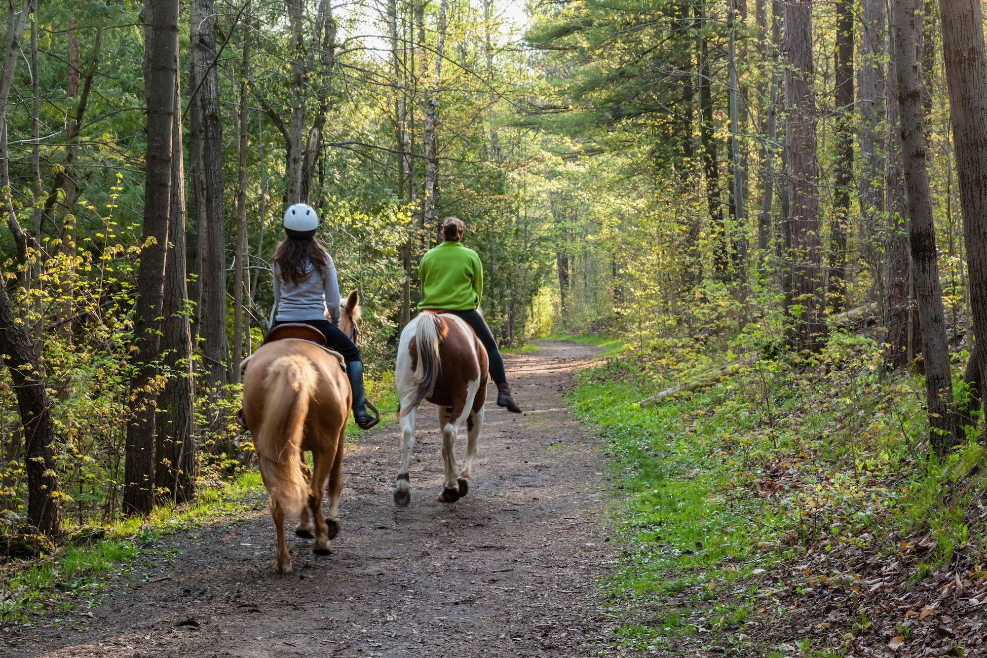 Guided Horse Rides - Land Between the Lakes National Recreation Area